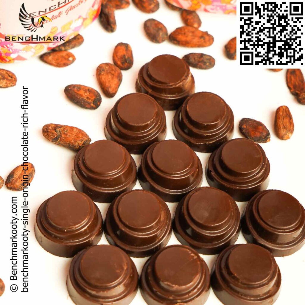 Benchmark Tea Factory and chocolate factory - Benchmark ooty