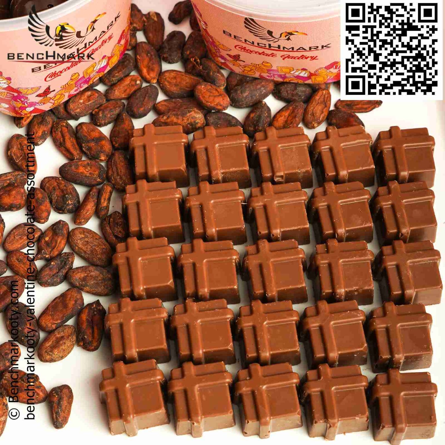 Benchmark Tea Factory and chocolate factory - Benchmark ooty